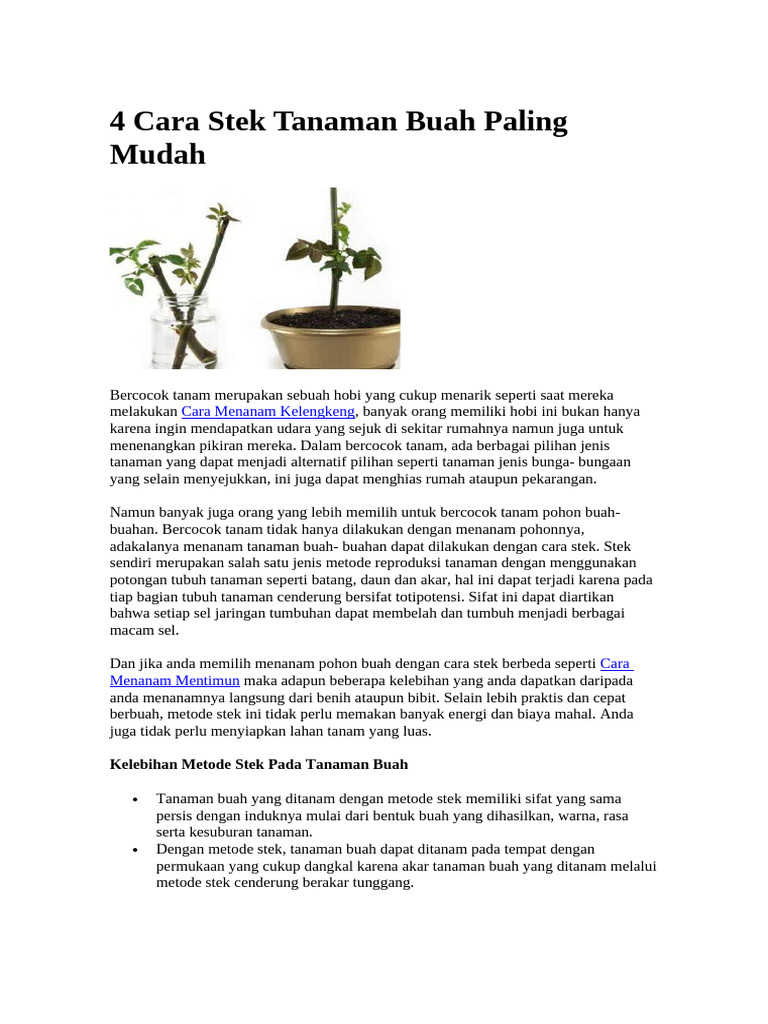 4 Cara Mudah Stek Tanaman Buah | PDF