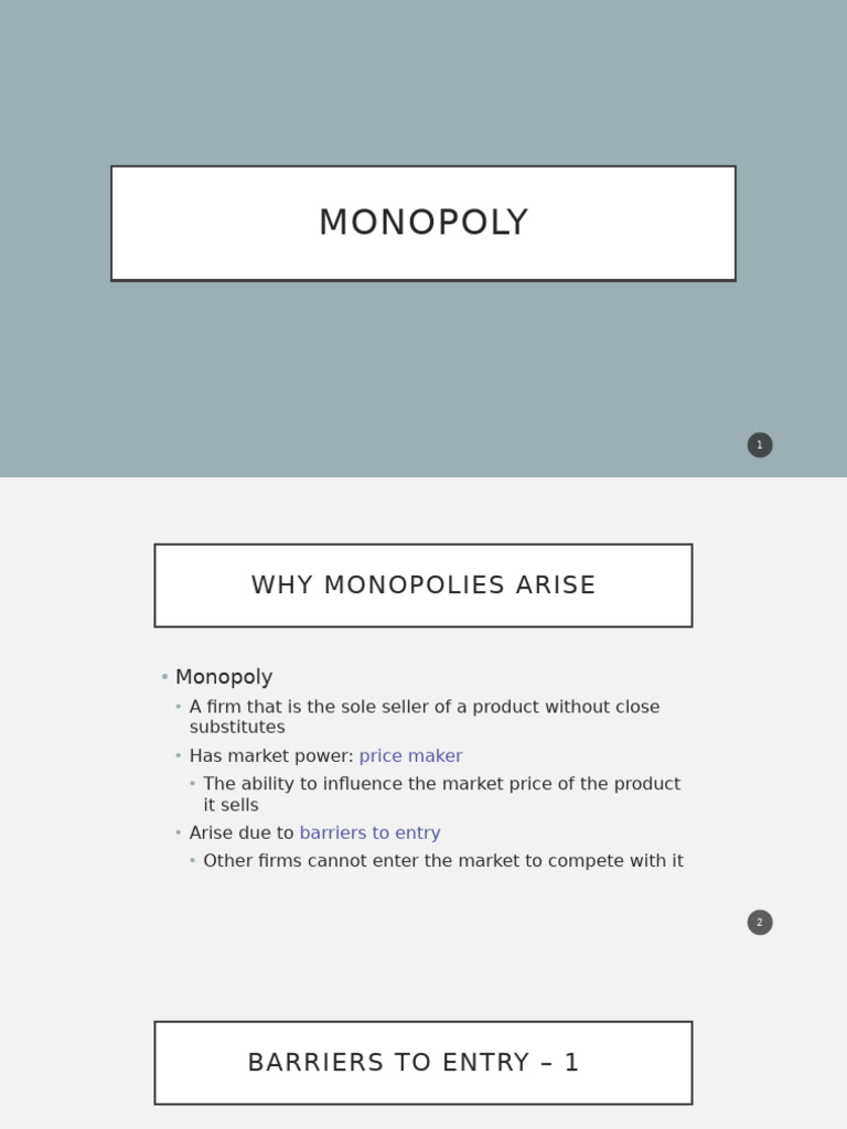 Understanding Monopolies and Market Power | PDF | Monopoly | Economic ...