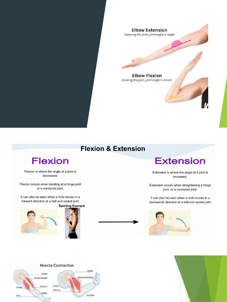 Types of Movements | PDF