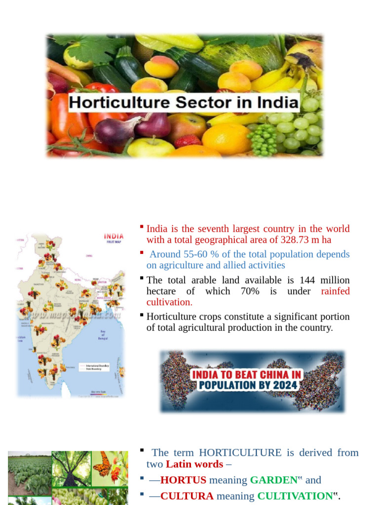 Overview of Horticulture in India | PDF | Vegetables | Horticulture