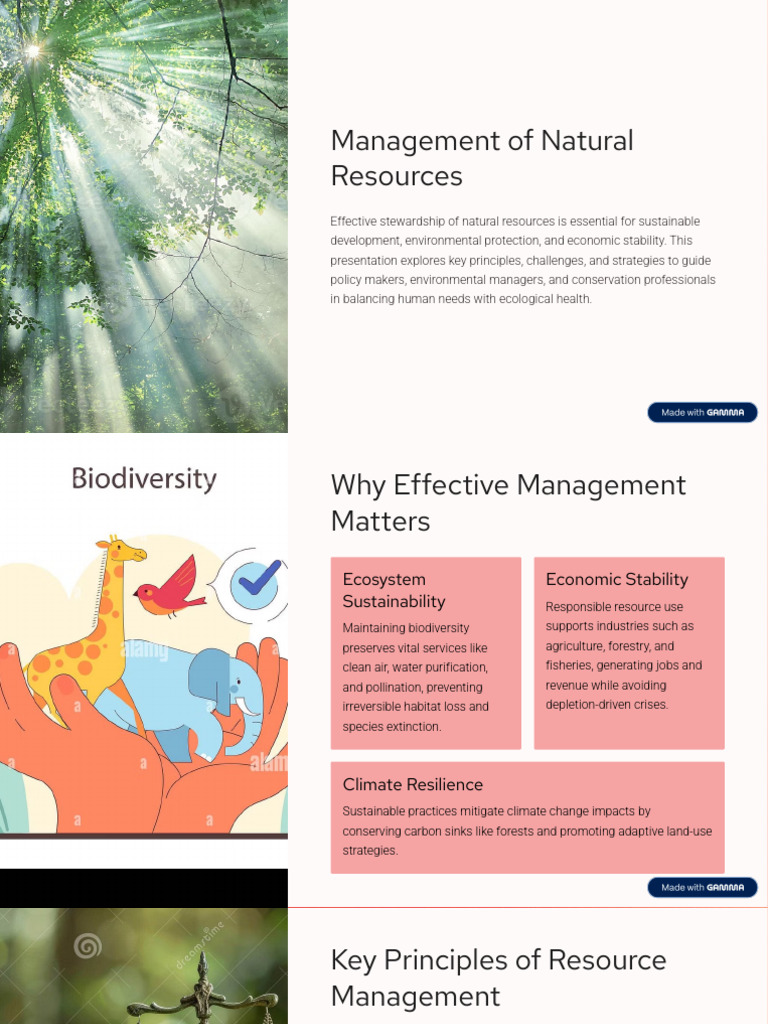 Sustainable Natural Resource Management | PDF | Sustainability ...