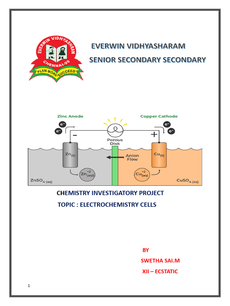 Electrochemistry Cells Project Overview | PDF | Electrochemistry | Fuel ...