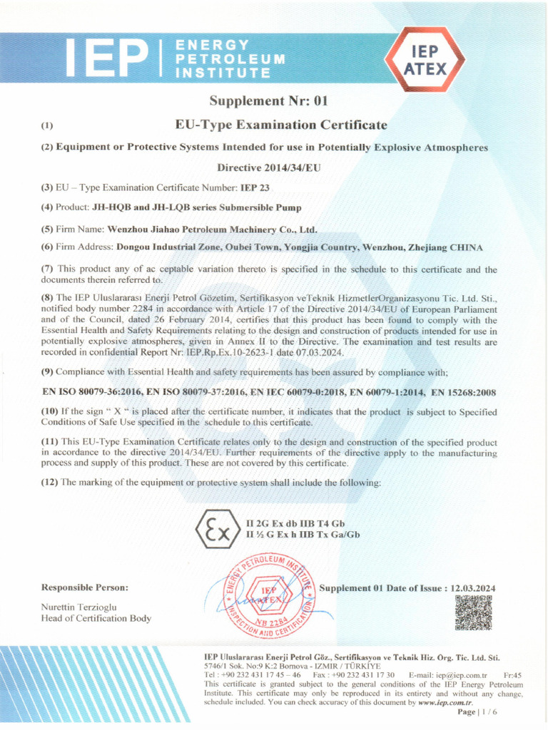 ATEX Certificate For Submersible Turbine Pump FE Petro | PDF