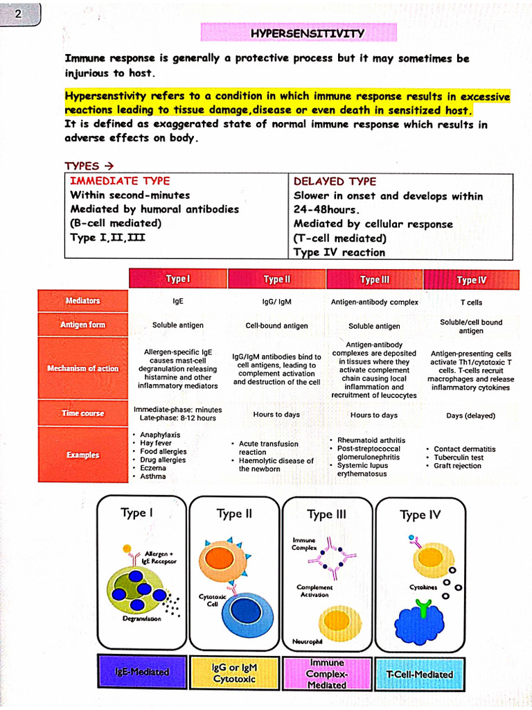 Hypersensitivity | PDF
