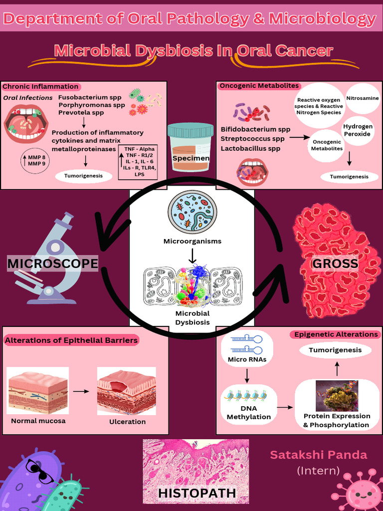 Bacteria 20251026 203102 0000 | PDF | Carcinogenesis | Inflammation