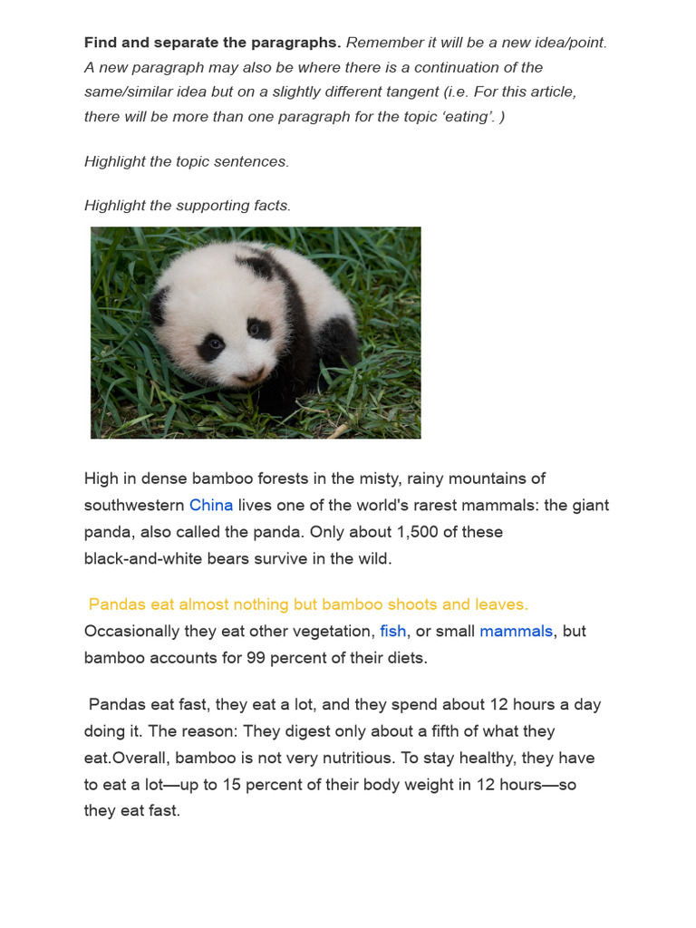 Kong Sopheaknita - Giant Pandas - Paragraphs | PDF