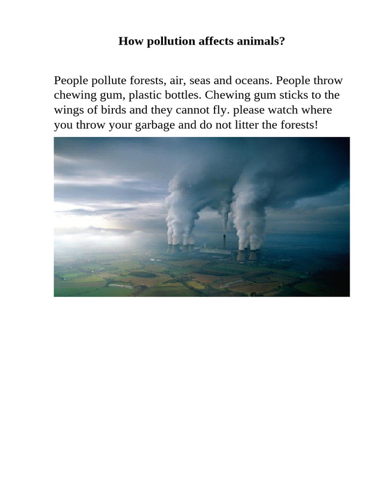 How Pollution Affects Animals | PDF