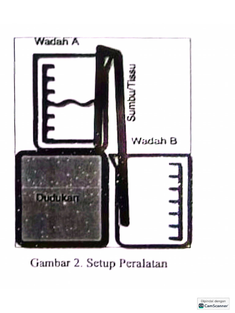 Jara | PDF