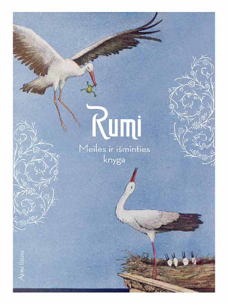 CDB Meiles Ir Isminties Knyga FL | PDF
