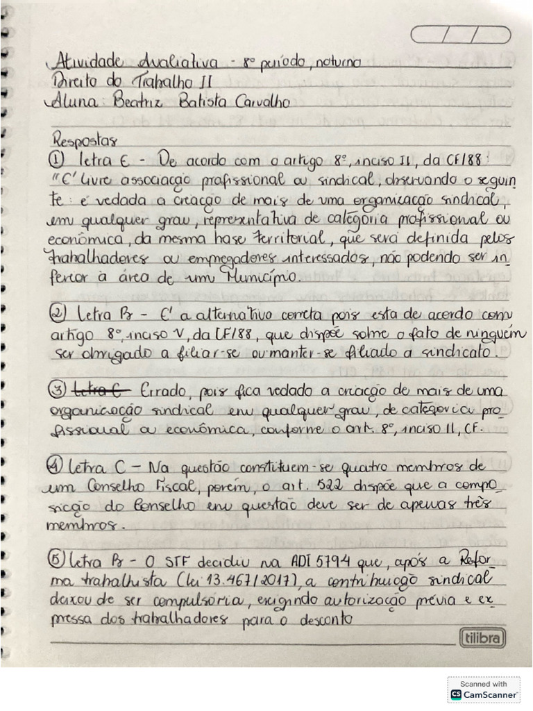 Atividade Trabalho II - Beatriz Batista | PDF