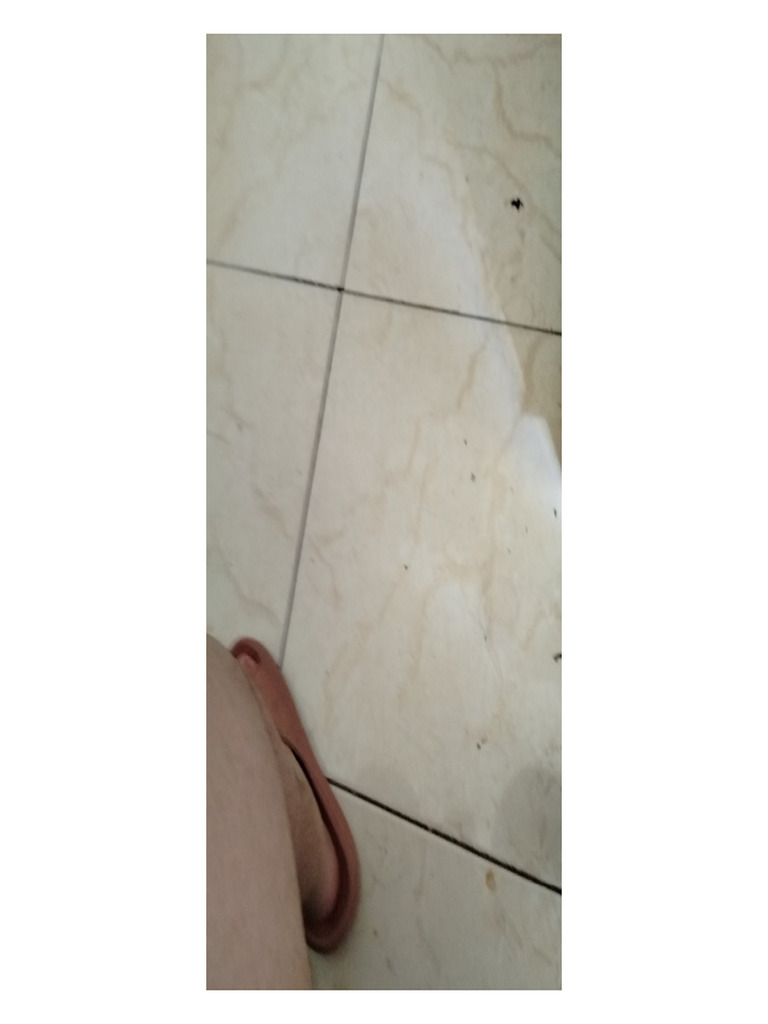 All PDF Reader 20251026 13.43.02o | PDF