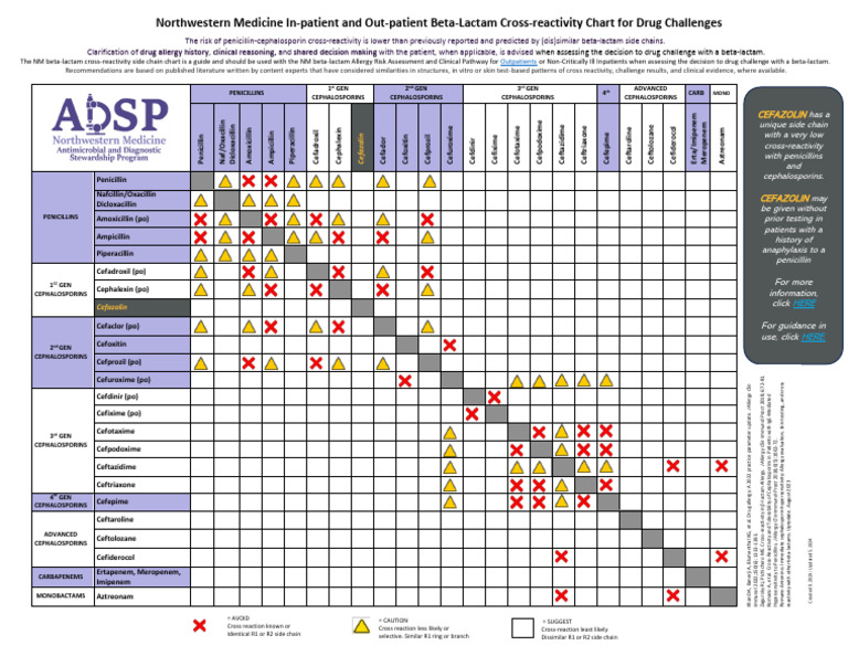 Northwestern Beta-Lactam Cross-Reactivity Chart | PDF | Penicillin ...