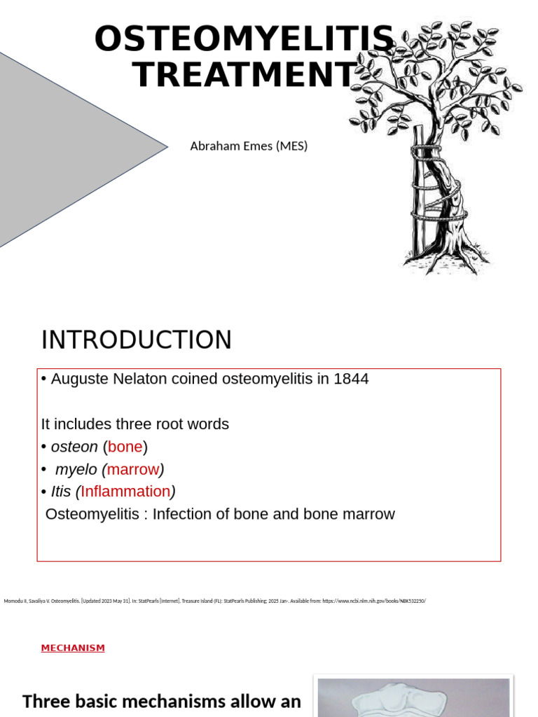 Osteomyelitis Treatment | PDF | Medical Specialties | Diseases And ...
