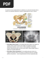 Tipos de Pelve e Suas Características | PDF