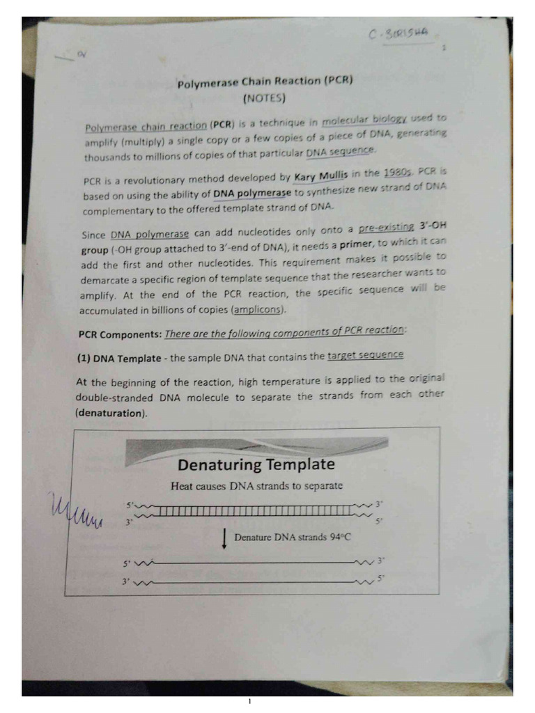 PCR Notes | PDF