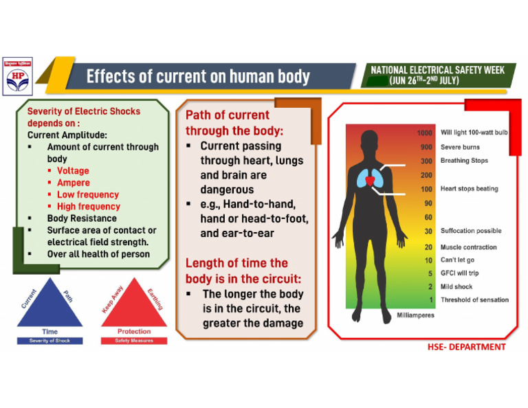 Human Body Electricity | PDF