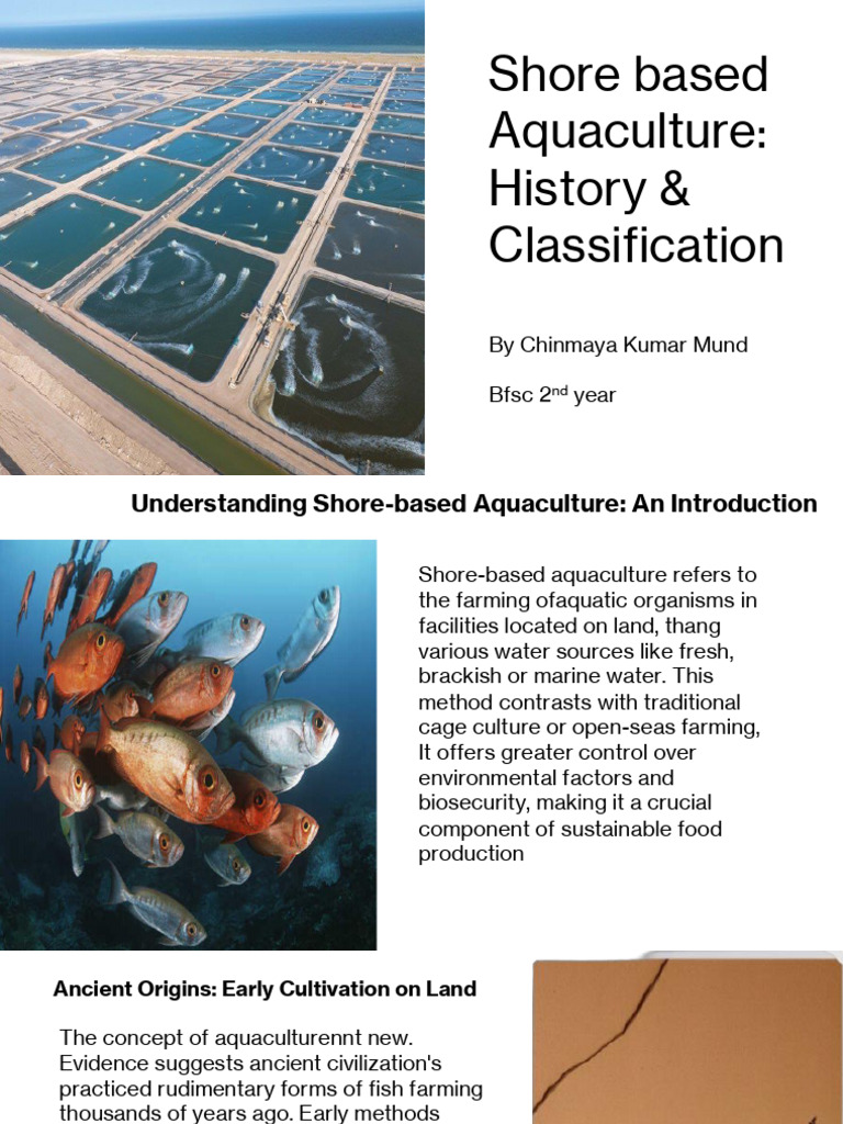Shore-Based Aquaculture: History & Types | PDF | Aquaculture | Water