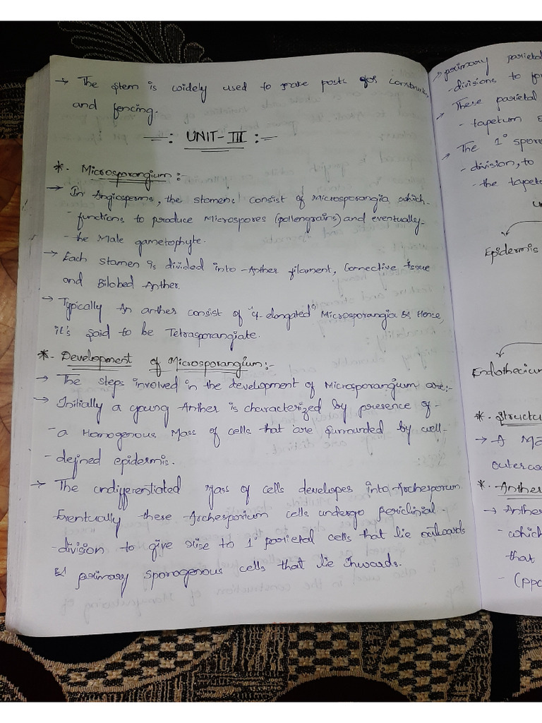 Best Notes Ever | PDF