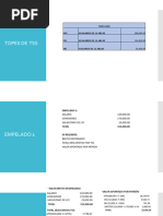 Cálculo de la TSS y sus Componentes | PDF | Salario | Salario mínimo