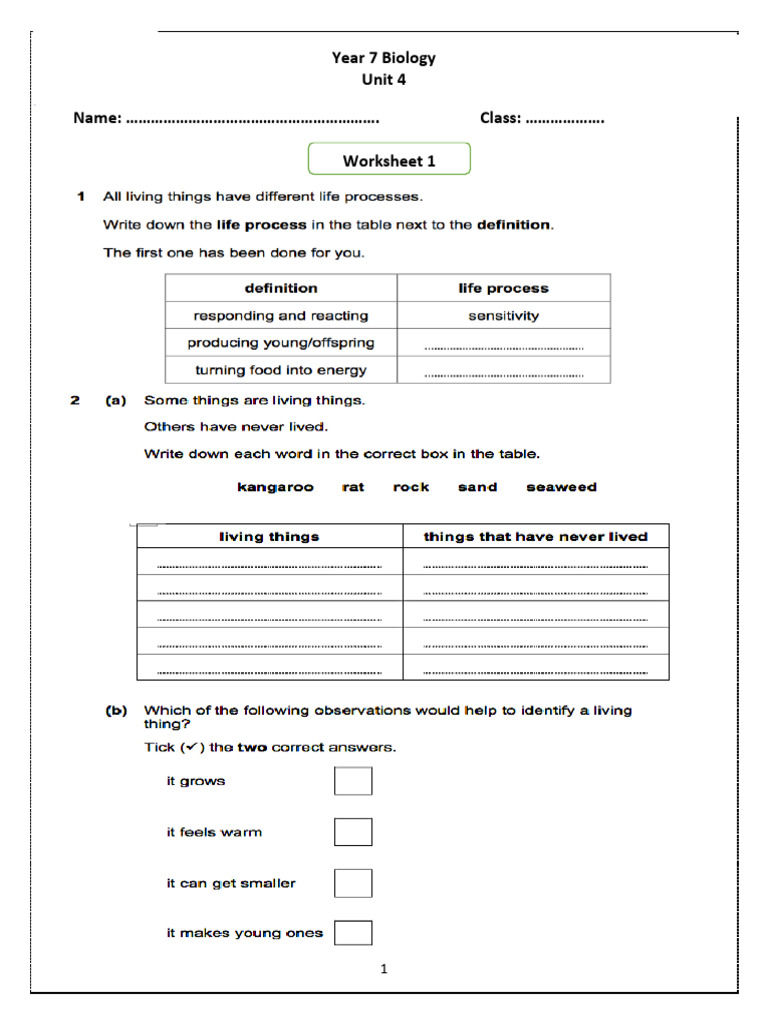 Year 7 Biology Unit4 | PDF