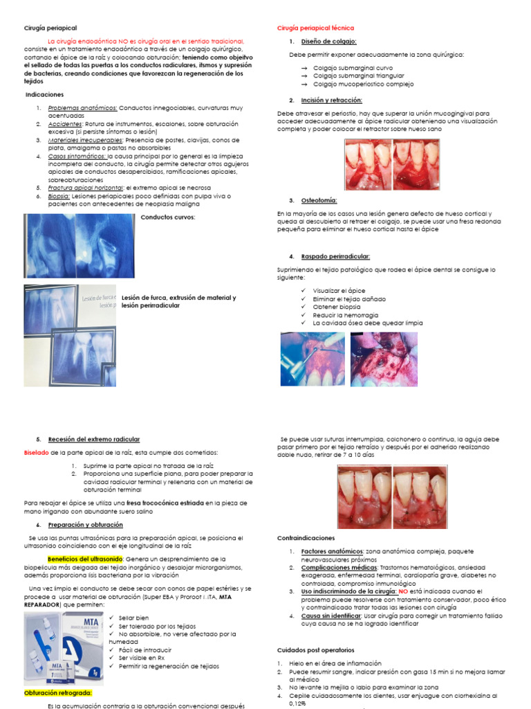 Cirugia Apical 3 Parcial Endo 2 | PDF | Cirugía | Enfermedades y trastornos