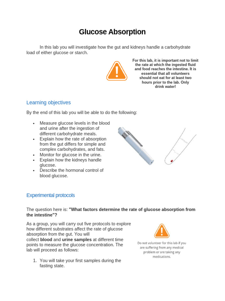 Glucose Absorption - Blood and Urine | PDF | Small Intestine