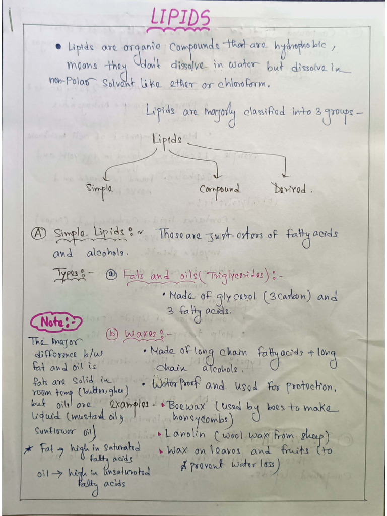 Lipids Notes | PDF