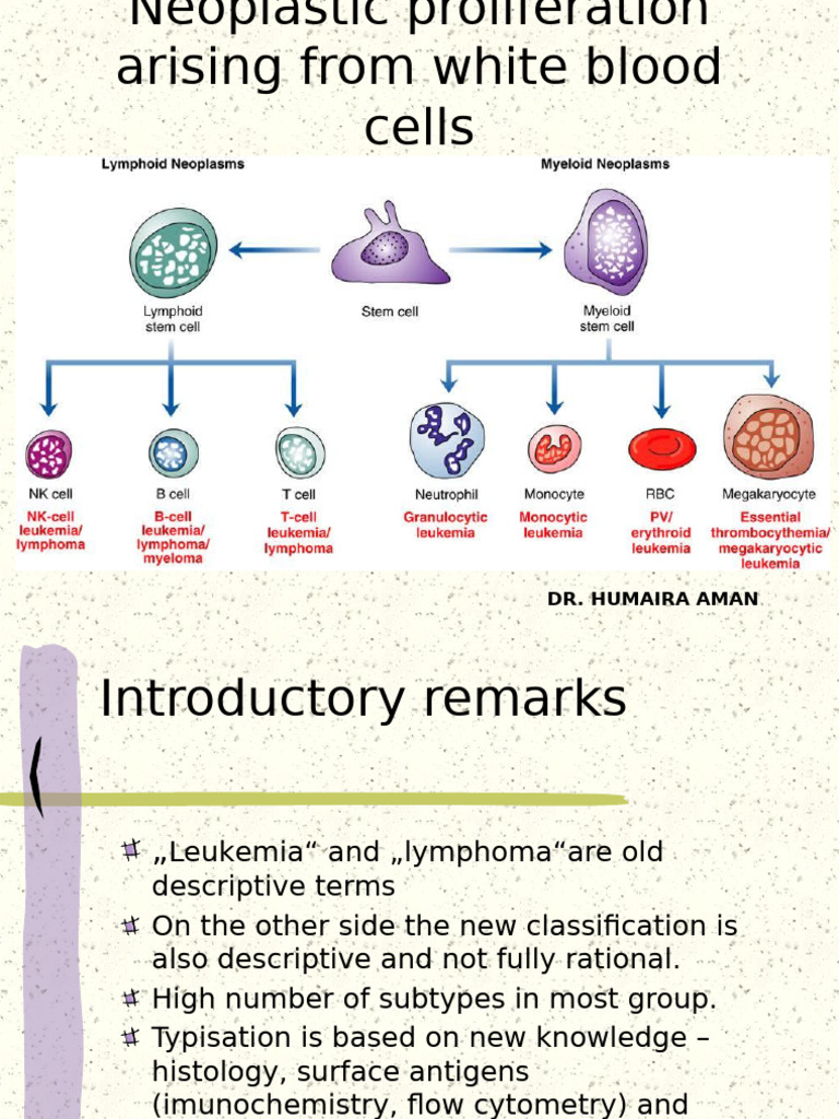 Classification of Lymphoid Neoplasms | PDF | Lymphoma | B Cell