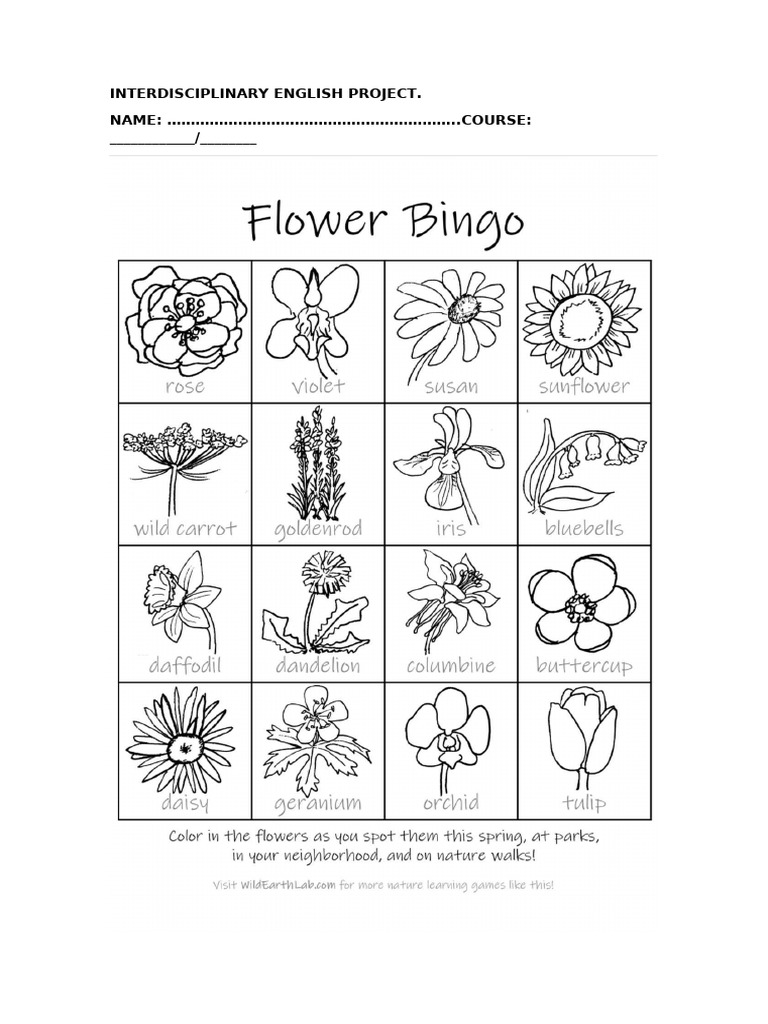 Interdisciplinary English Project 2 | PDF