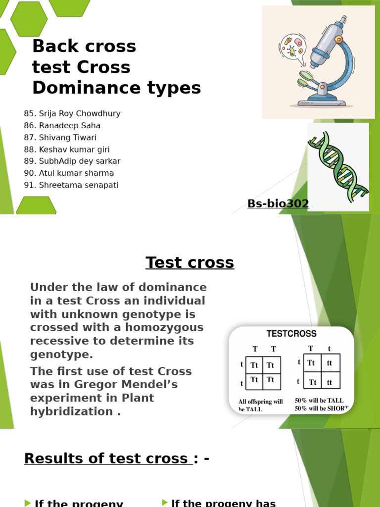 Test Cross and Back Cross Explained | PDF | Dominance (Genetics) | Genotype