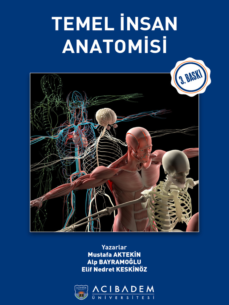 Temel İnsan Anatomisi ISBN 978 625 44490 6 2 | PDF
