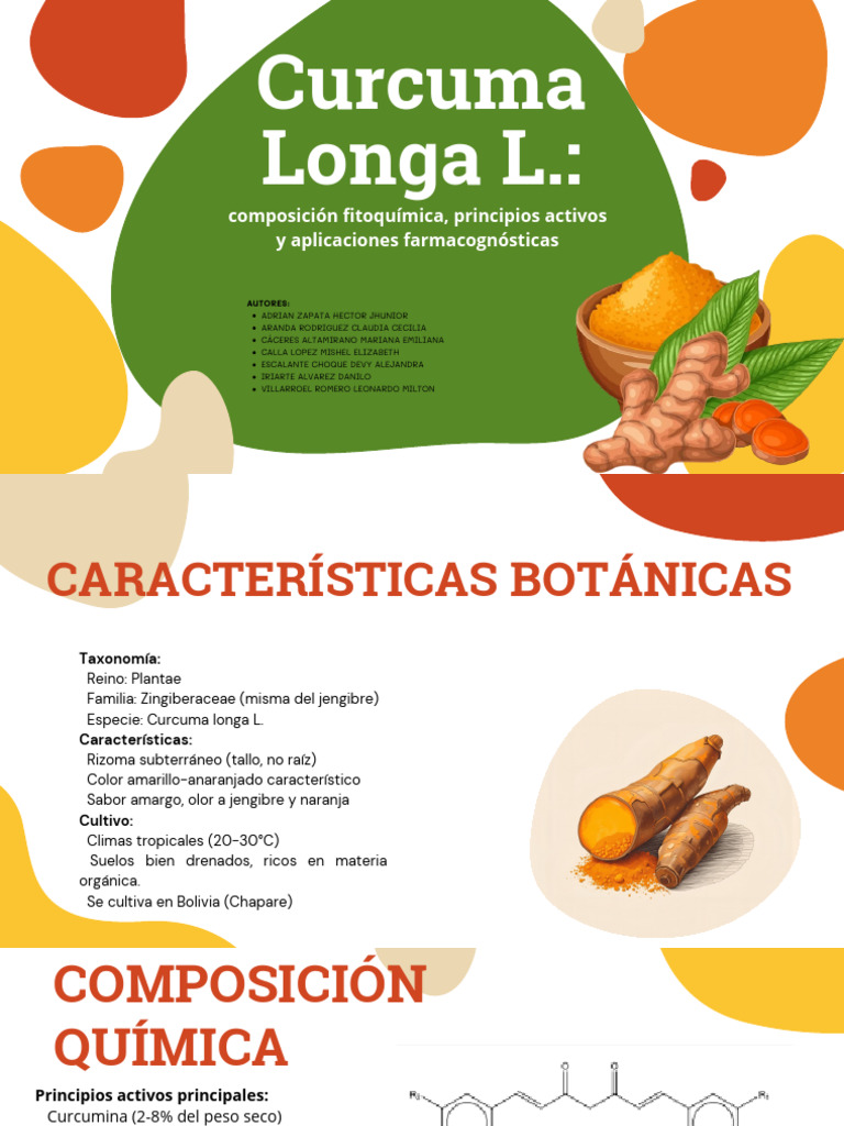 Creative Blobs Slides - 20251025 - 181440 - 0000 | PDF | Antioxidante ...