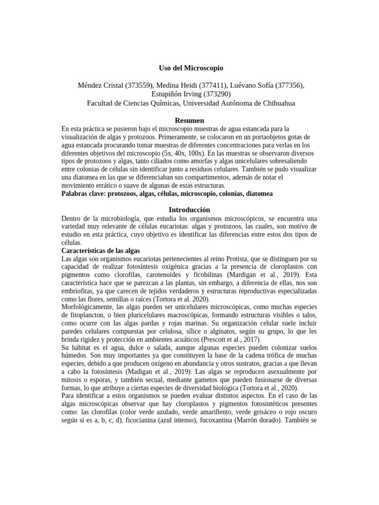 Reporte 3 Micro | PDF | Algas | Microorganismo