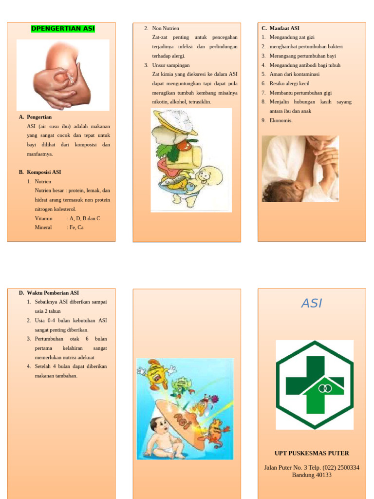 Leaflet Asi | PDF