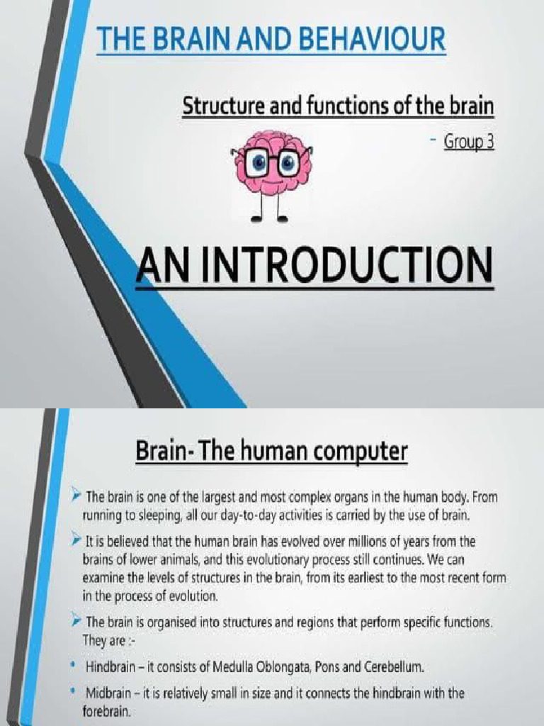 Brain and Behavior | PDF