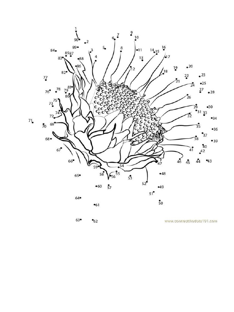 Daisy | PDF