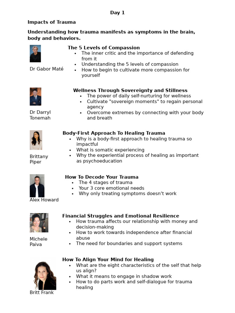 Trauma Meeting 2025 Program Overview | PDF | Psychological Trauma ...