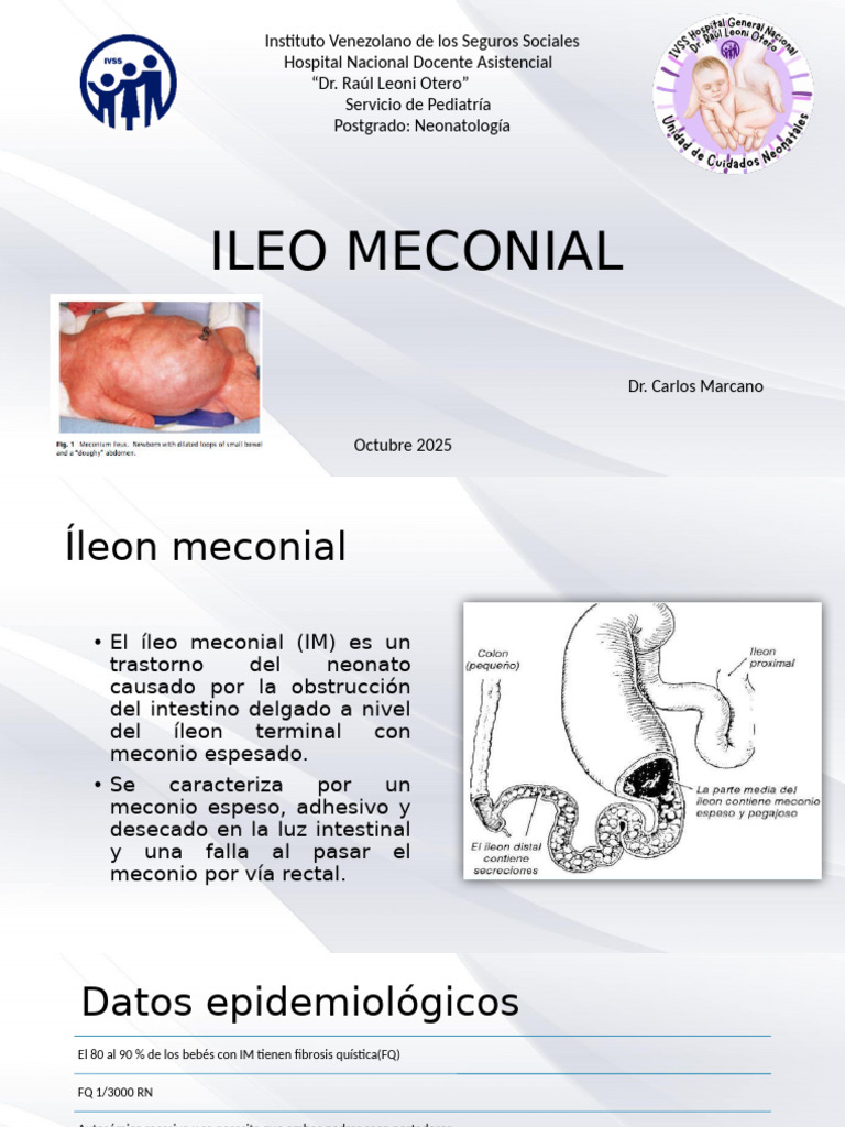 Ileo Meconial | PDF | Intestino grueso | Especialidades Medicas