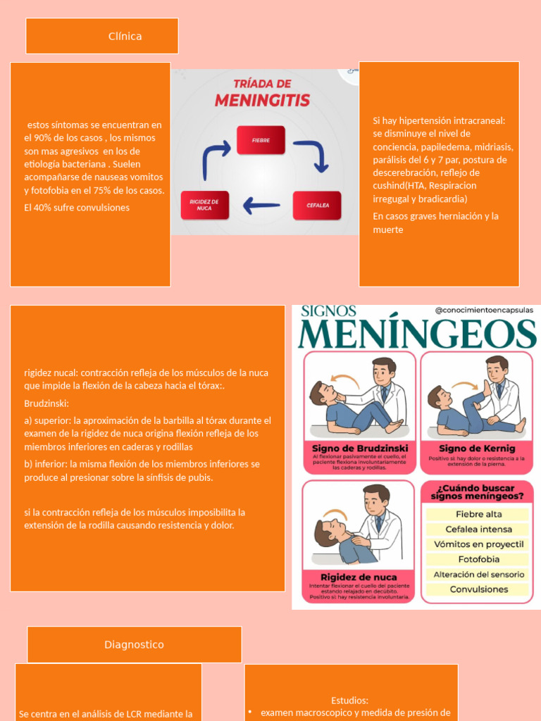 Meningitis Final | PDF | Meningitis | Enfermedades y trastornos