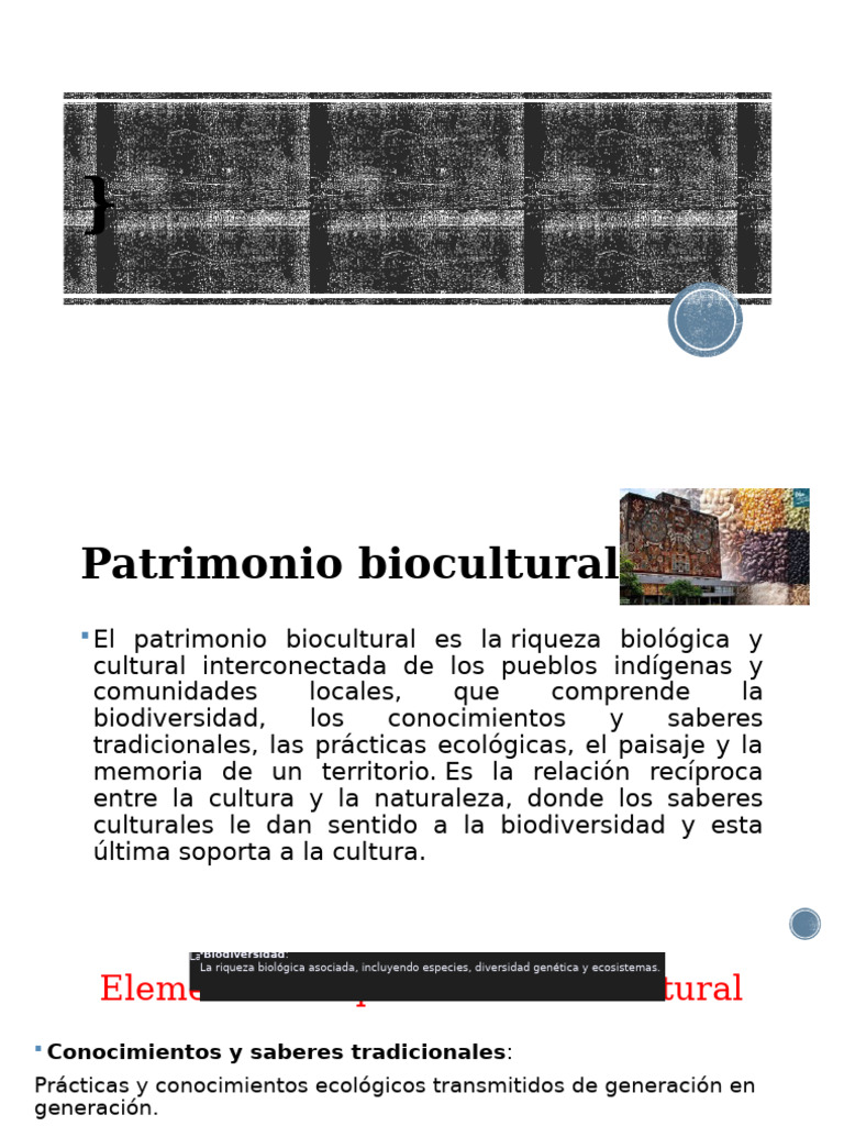 Elementos del Patrimonio Biocultural | PDF | Biodiversidad ...