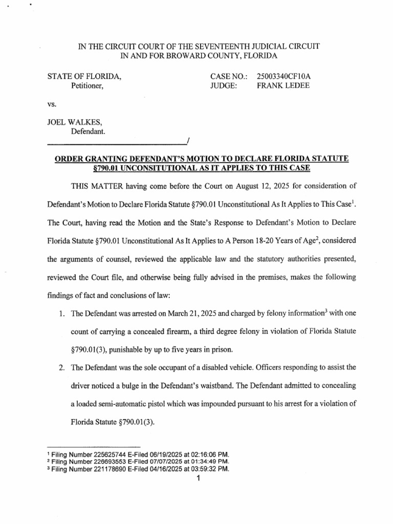 Florida Statute §790.01 Unconstitutional Ruling | PDF | Concealed Carry ...