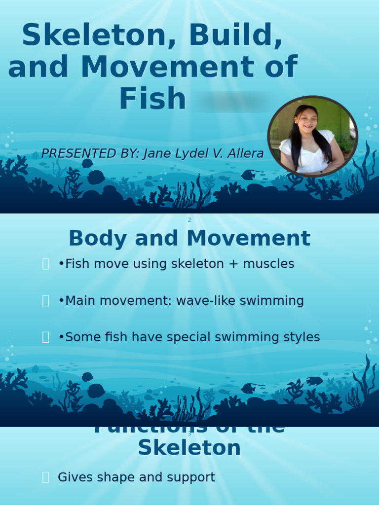 Fish Anatomy: Skeleton and Movement | PDF