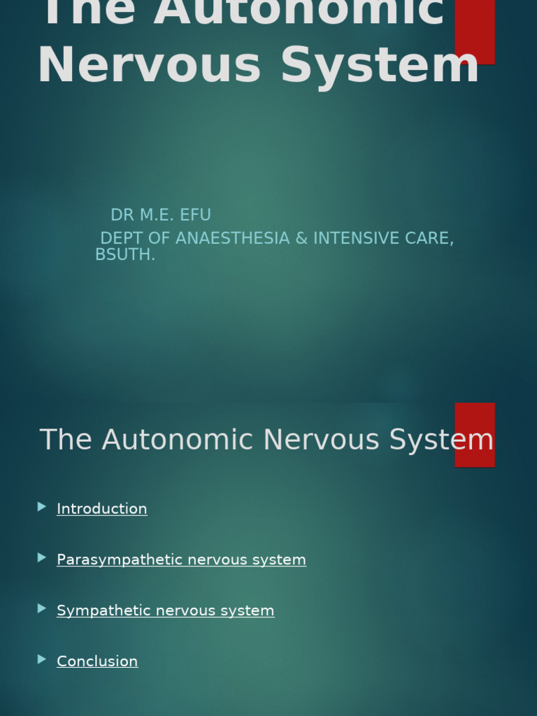 Understanding the Autonomic Nervous System | PDF | Acetylcholine ...