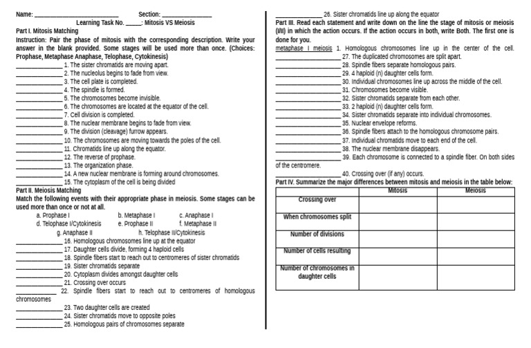 Learning Task Mitosis VS Meiosis | PDF | Meiosis | Mitosis