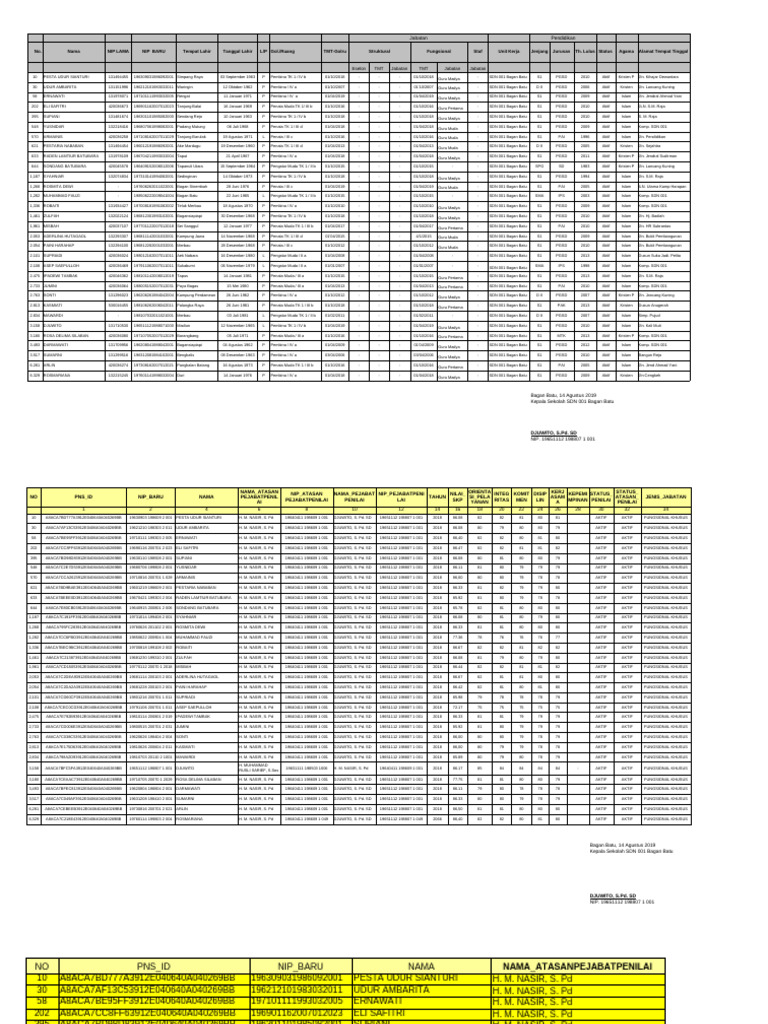 Format Excel Data Utama SDN 001 Bagan Batu | PDF