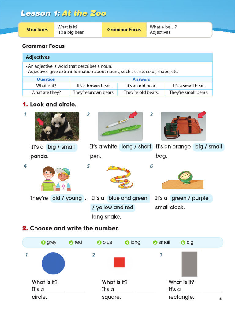 BP 1a Grammar | PDF | Plural | Adjective