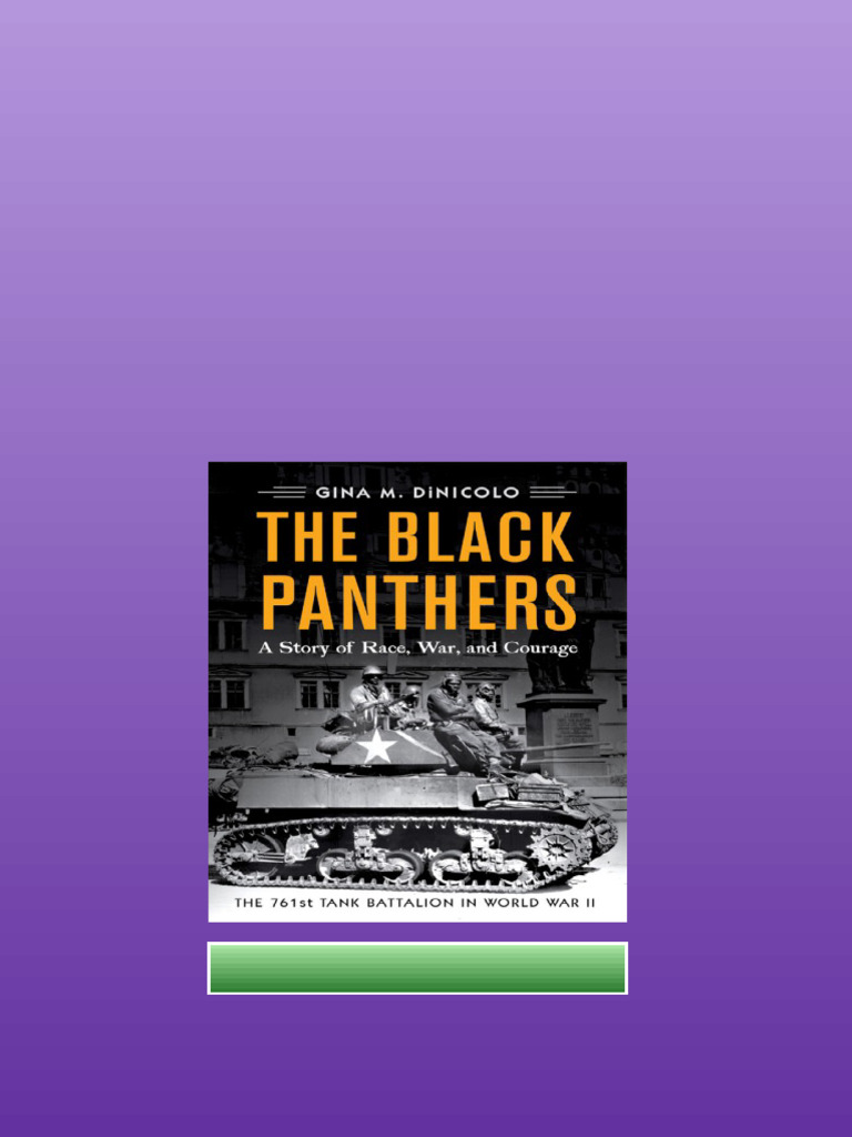 The Black Panthers A Story Of Race War And Courage The 761st Tank ...