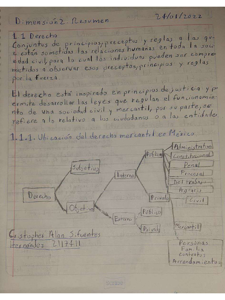Cash Ev1 Dermerc | PDF