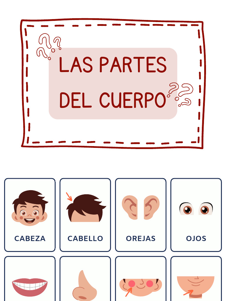 White Neutral Parts of The Body Flashcards | PDF