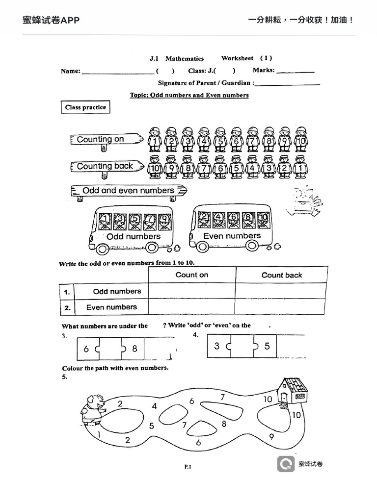 P1_Math WS 1 | PDF